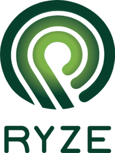 Ryze, Cabinet d'audit et conseil à Madagascar