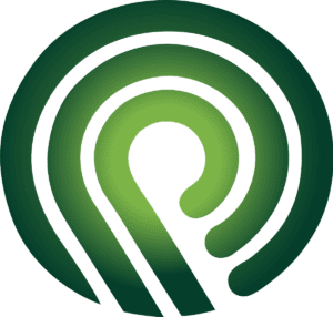 Ryze, Cabinet d'audit et conseil à Madagascar